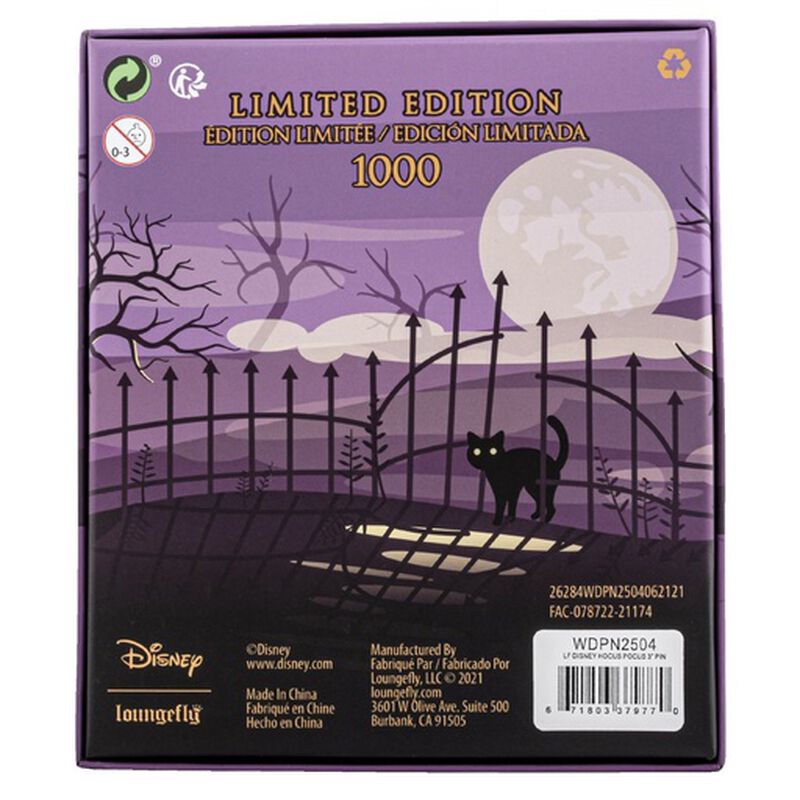 Disney Hocus Pocus Collector Box Sliding Enamel Pin