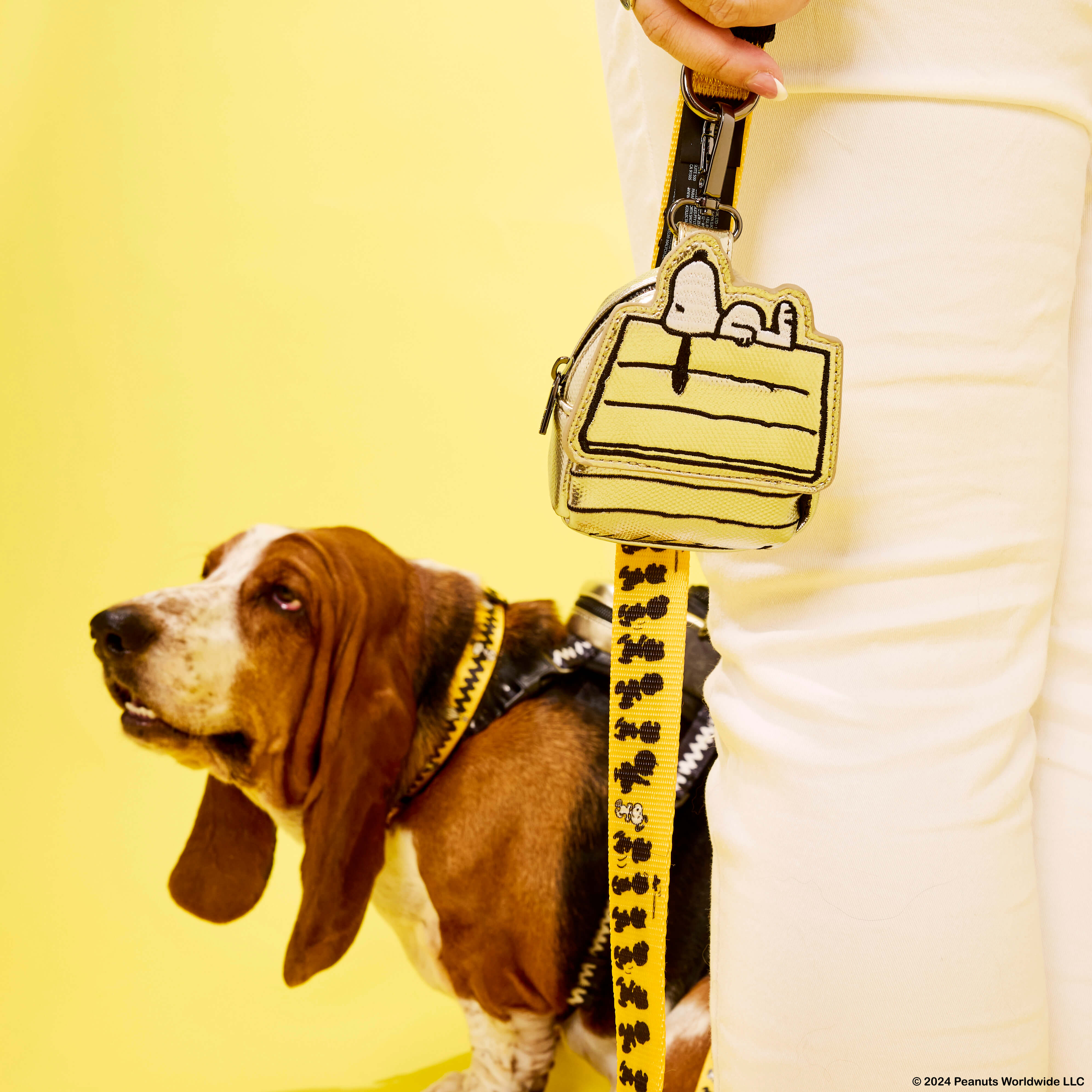 Peanuts 75th Anniversary Snoopy & Gang Leash