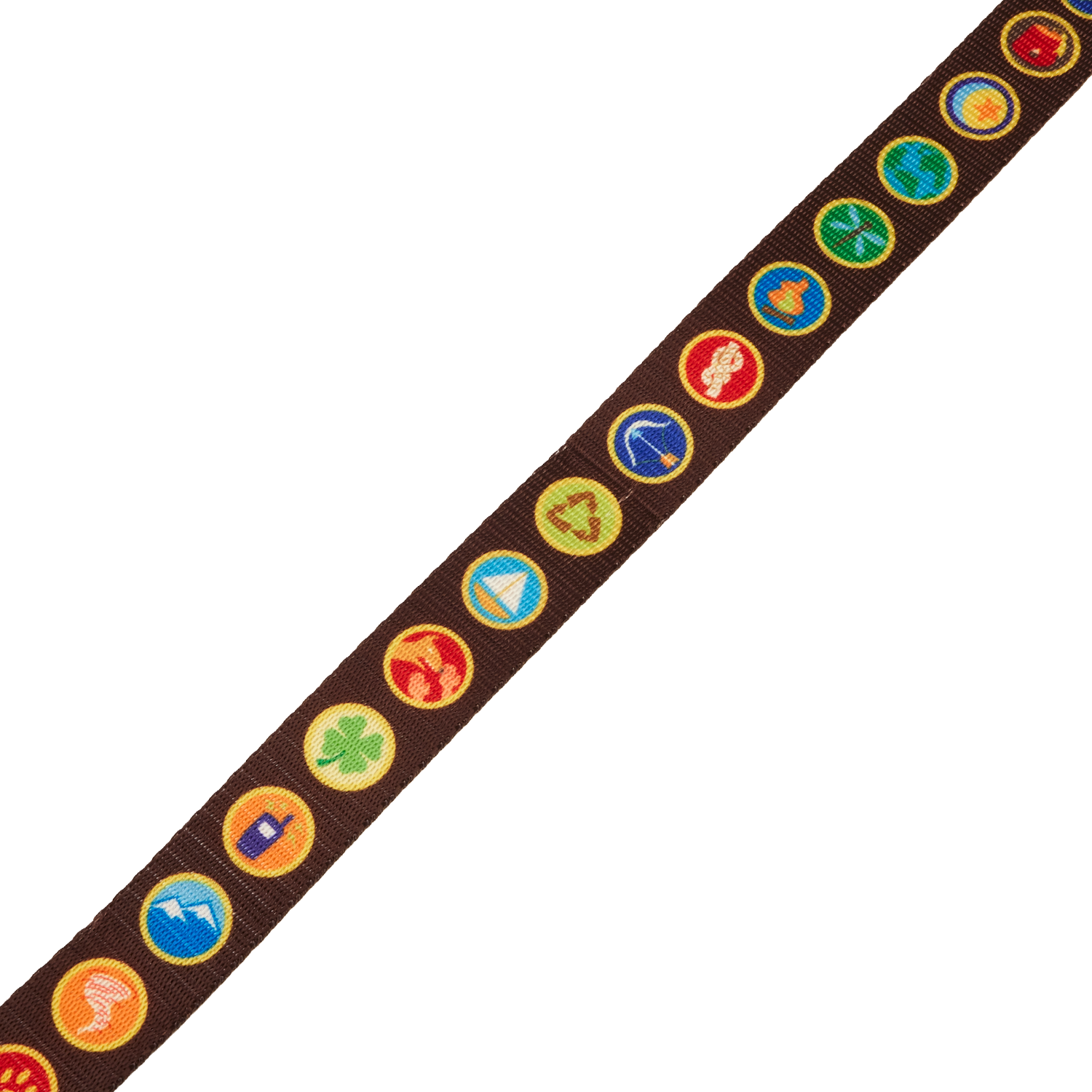 Up 15th Anniversary Wilderness Explorer Badges Leash